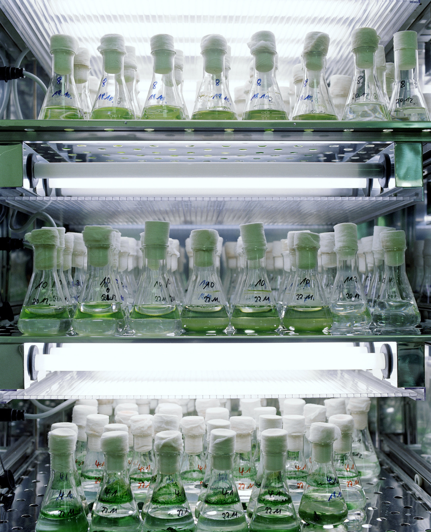 Lanxess ontwikkelt ionenwisselaar voor effectieve PFAS-verwijdering ...