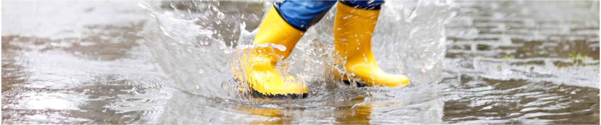 De stresstest regenwateroverlast volgens de kennisbank - Land+Water