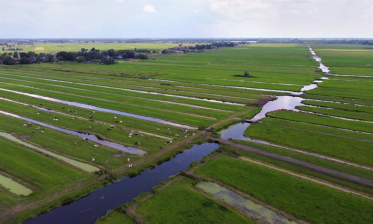 Boeren in Aarlanderveen werken samen aan een toekomstbestendig ...