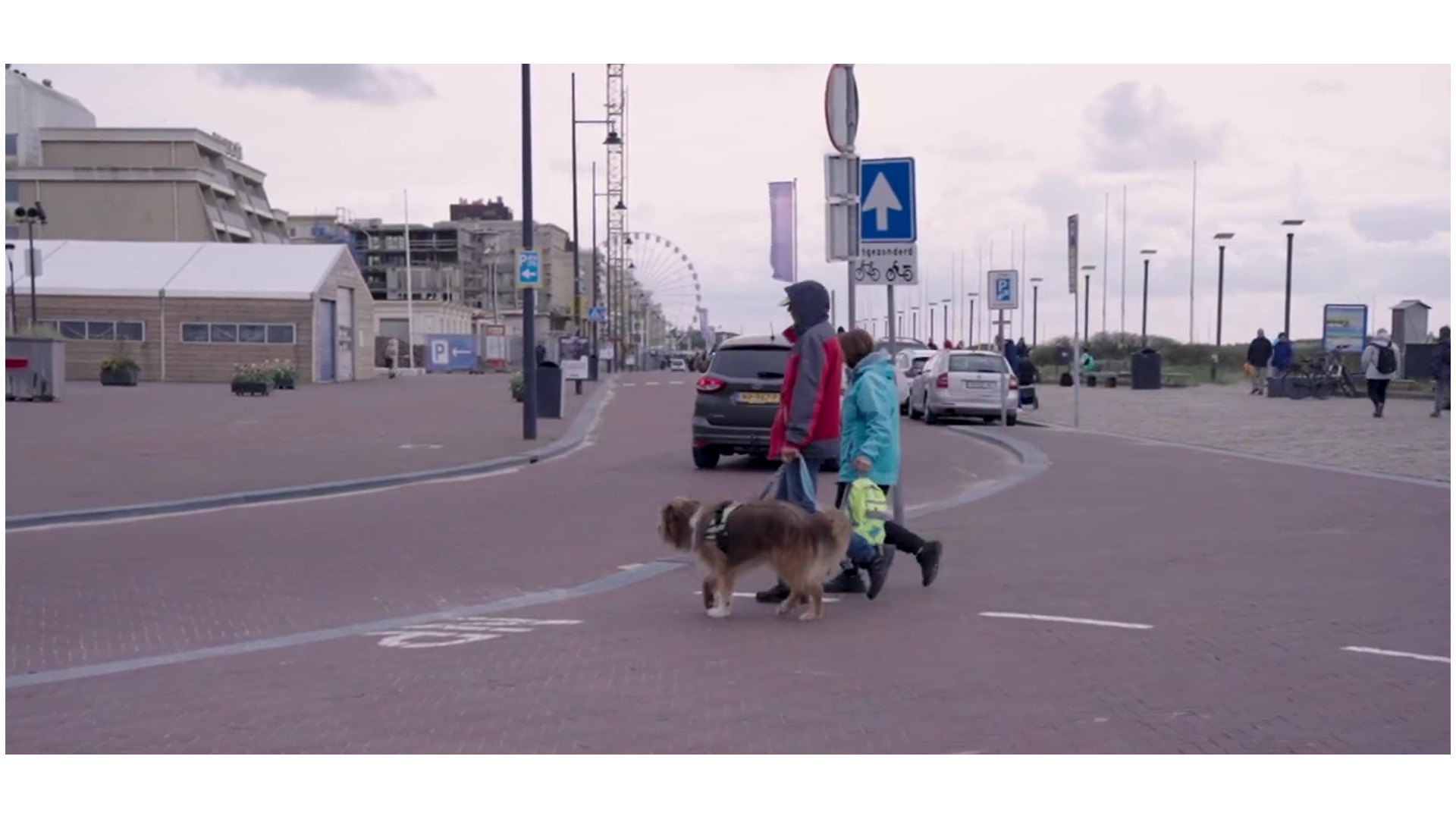 Nieuw verkeersmodel Holland Rijnland - Land+Water